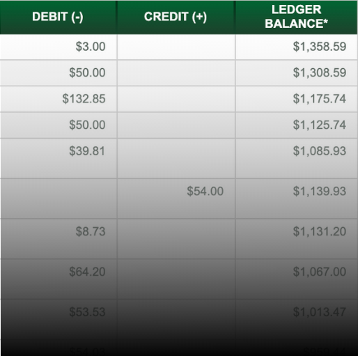 Improve Customer Experience with Transaction Enrichment | Wealth Access